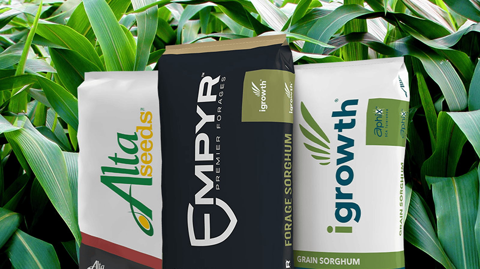 Alta Seeds Case Study | Woodruff