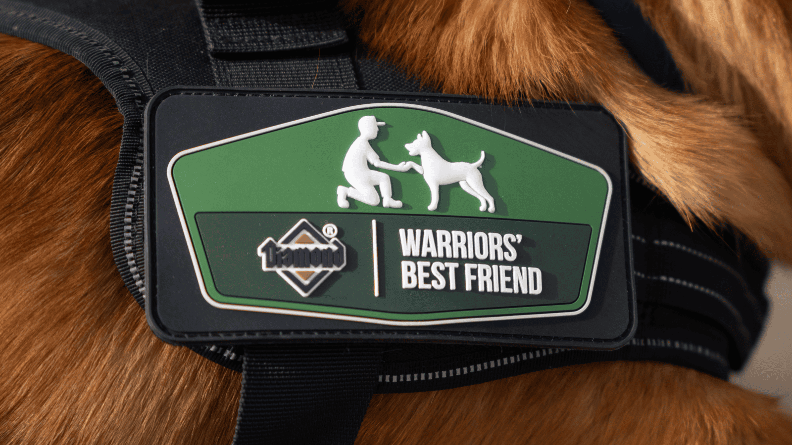 Warriors’ Best Friend – We Are Woodruff